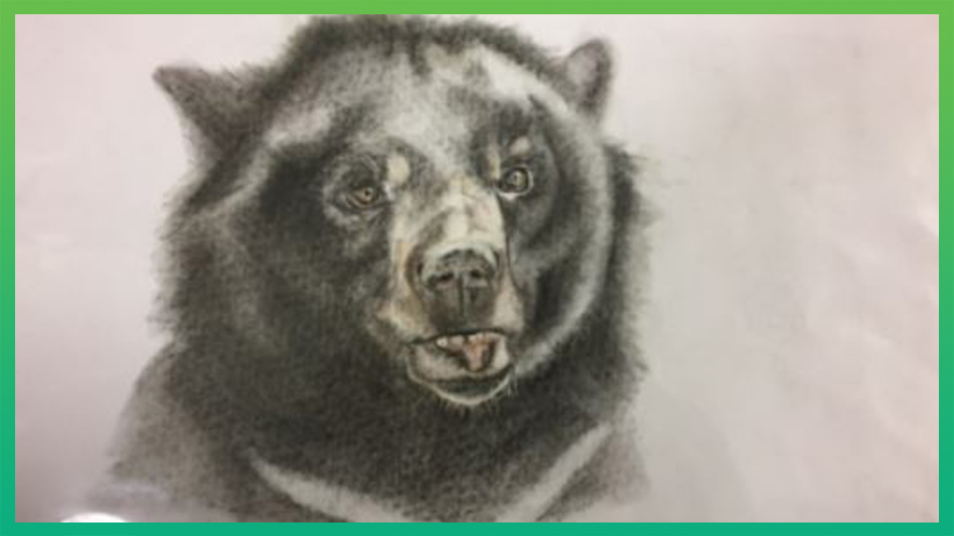 Star-studded event raises £30k for new bear sanctuary in Vietnam ...